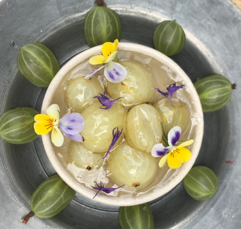 5 Summer Tudor Recipes | The Tudor Travel Guide