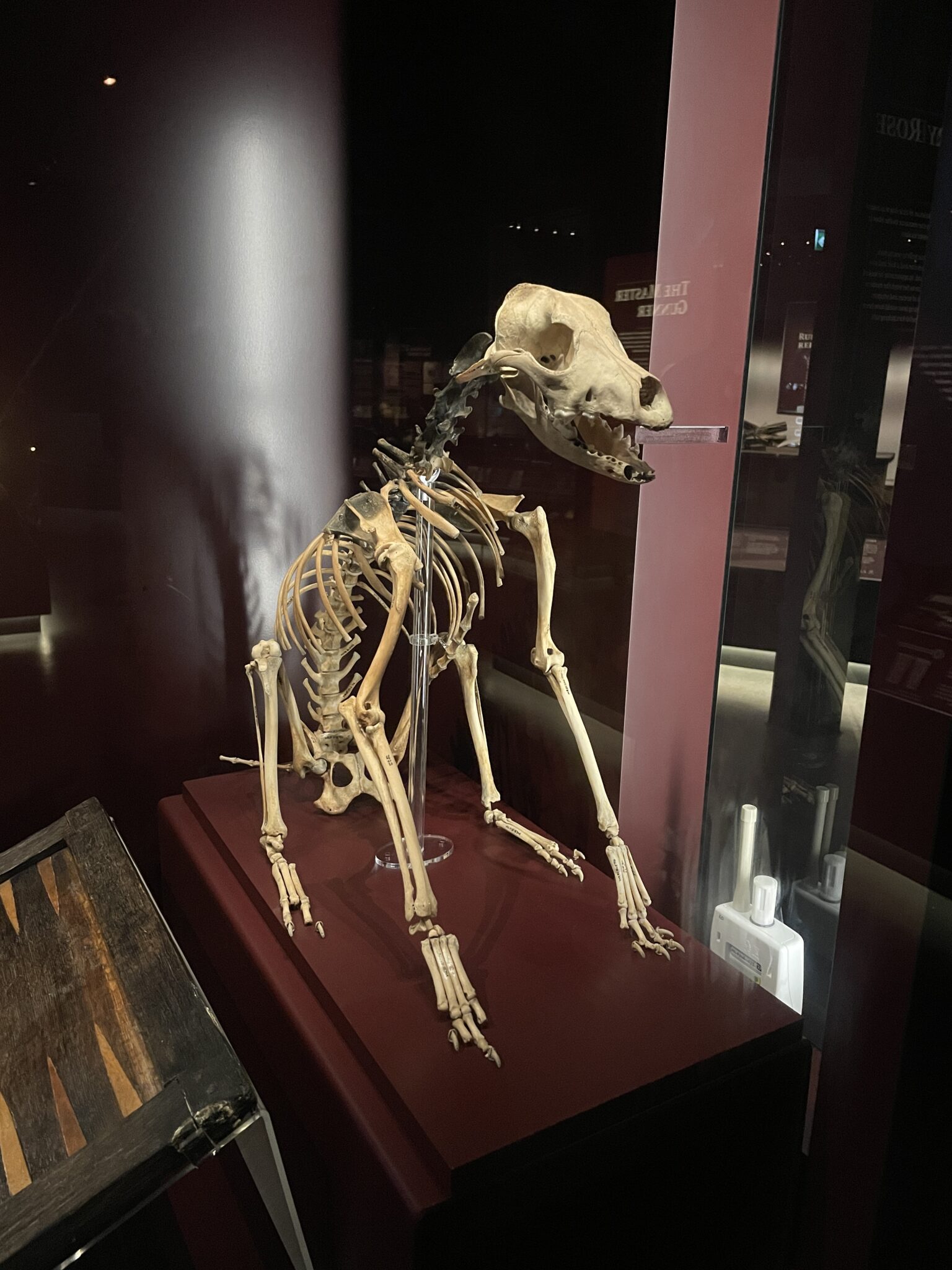 The Mary Rose Museum & Southsea Castle: Tudor Day Trips From London ...